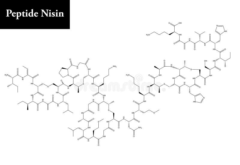 Structure Moléculaire De Nisine De Peptide Illustration Stock ...