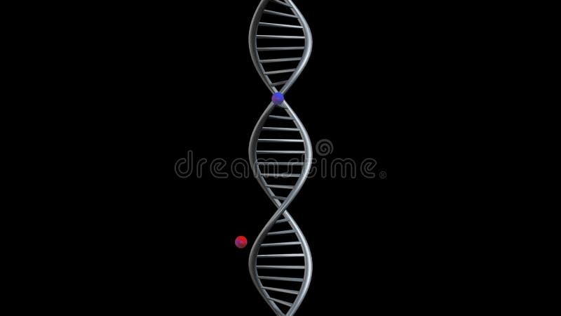 Structure Molecules DNK Rotate Loop. Analysis of Dna. Spirals and Blood ...