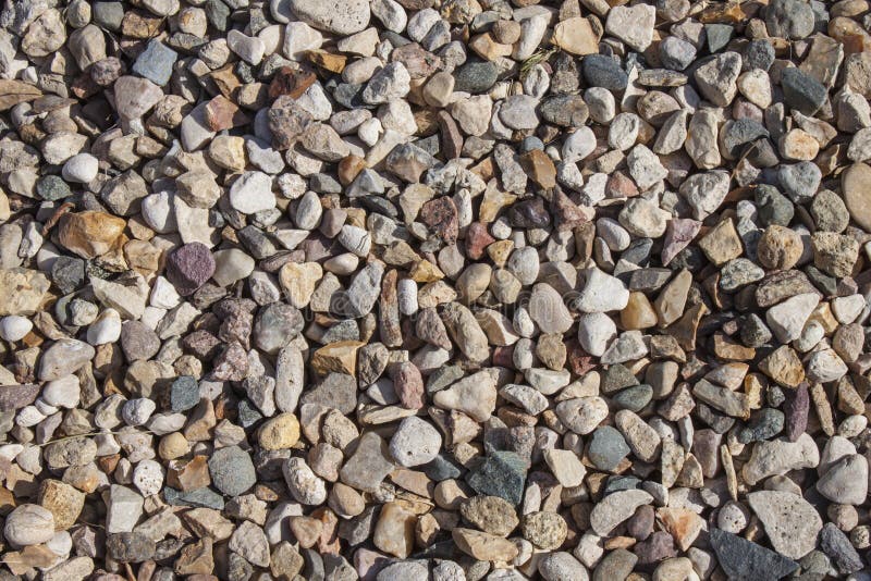 Structure from a Motley Sea Pebble. Stock Image - Image of heap, coast ...