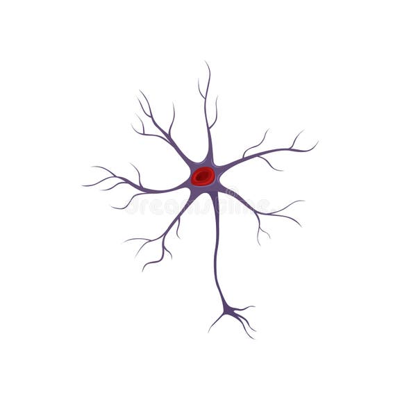 Neuron Icon Stock Illustrations – 12,001 Neuron Icon Stock ...