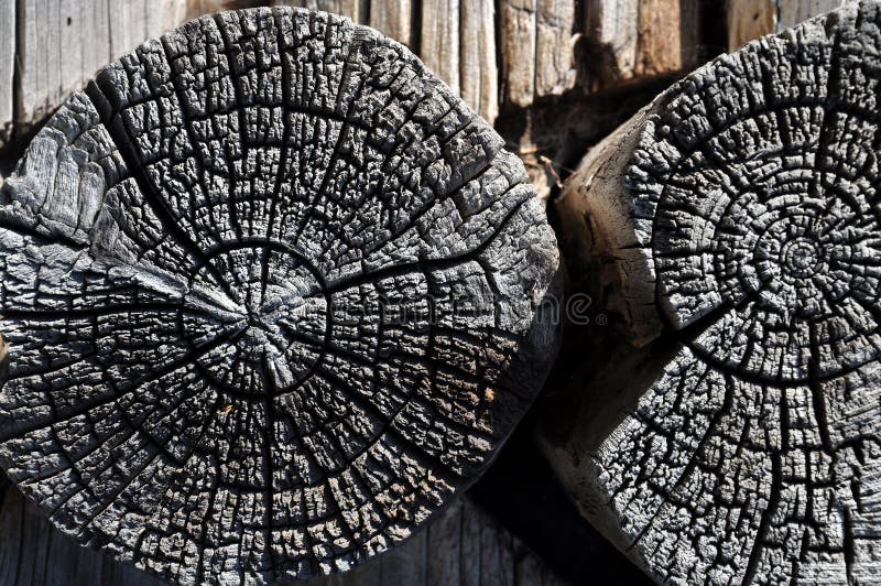 The Structure of the Old Pine Logs Stock Image - Image of architectural ...
