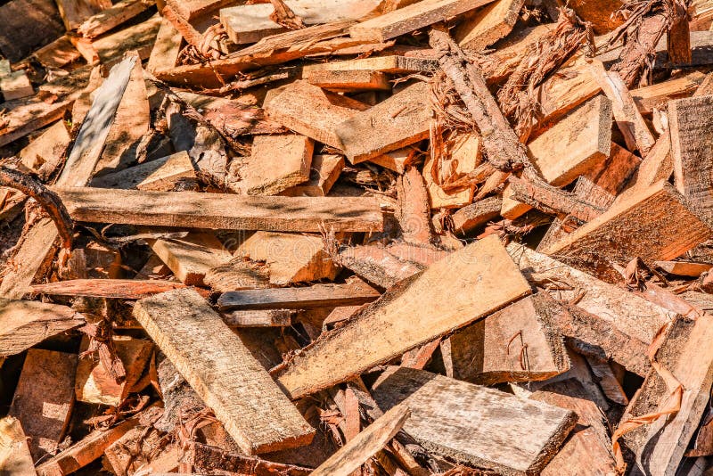 The Structure of the Old Tree. Boards Unsuitable for Construction. Wood ...