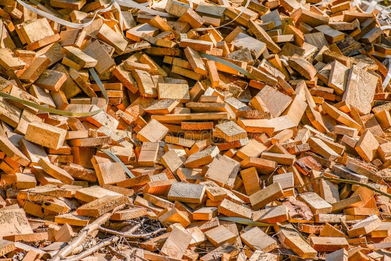 The Structure of the Old Tree. Boards Unsuitable for Construction. Wood ...