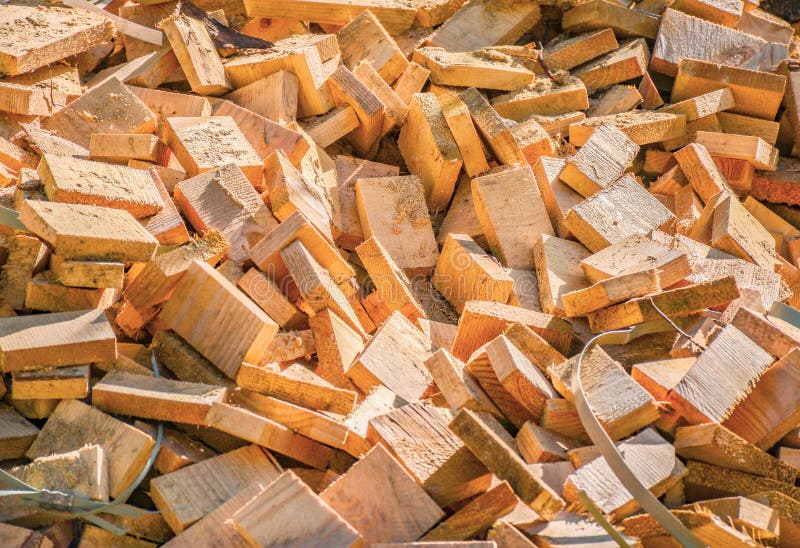 The Structure of the Old Tree. Boards Unsuitable for Construction. Wood ...