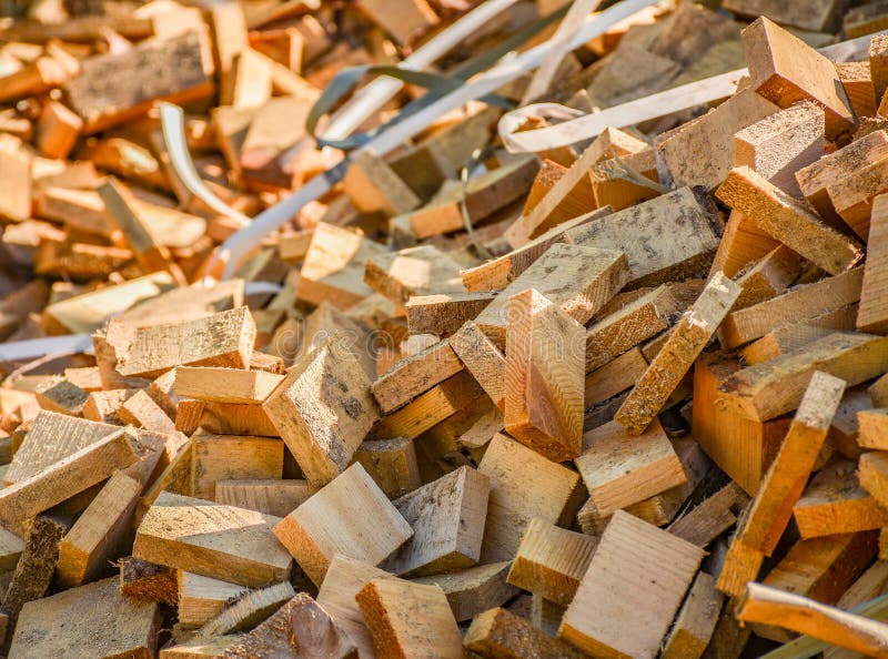 The Structure of the Old Tree. Boards Unsuitable for Construction. Wood ...