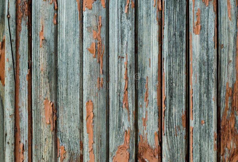 The Structure of the Old Tree. the Paint is Climbing Off the Wall. Old ...