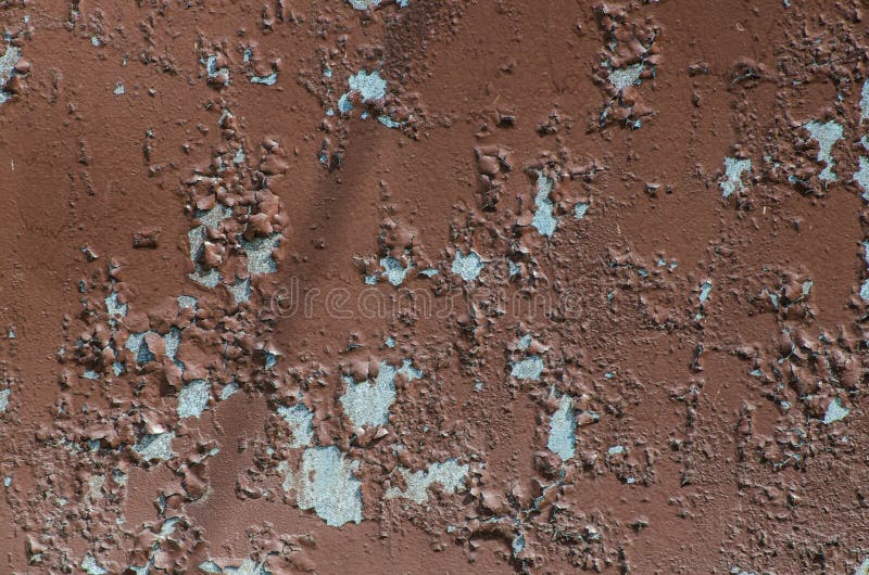 The Structure of the Old Tree. the Paint is Climbing Off the Wall. Old ...