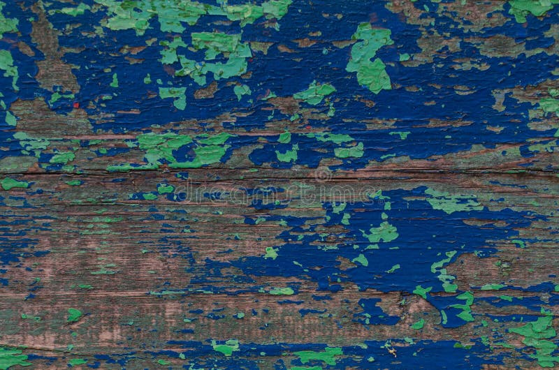 The Structure of the Old Tree. the Paint is Climbing Off the Wall. the ...