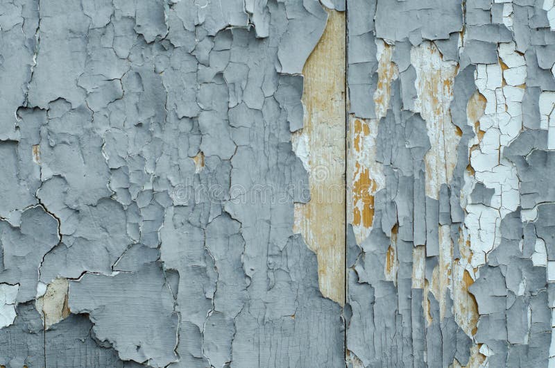 The Structure of the Old Tree. the Paint is Climbing Off the Wall. Old ...