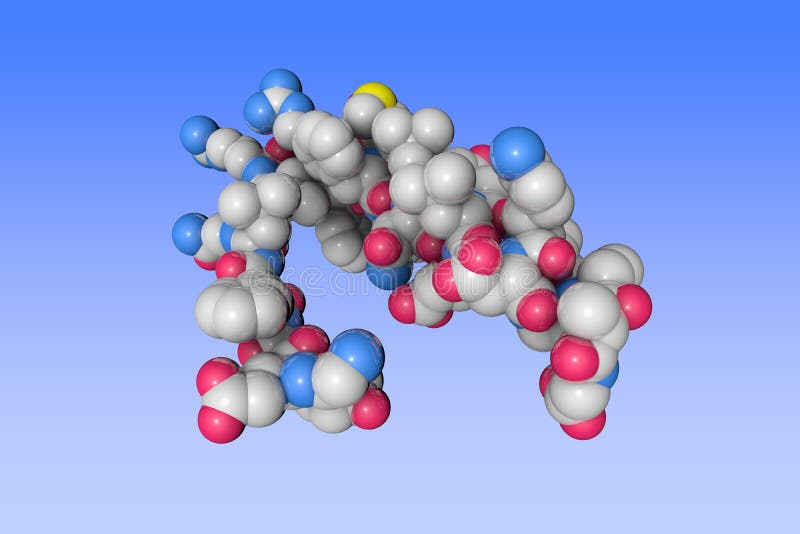 Structure of P53 Tumor Suppressor. Space-filling Molecular Model on ...