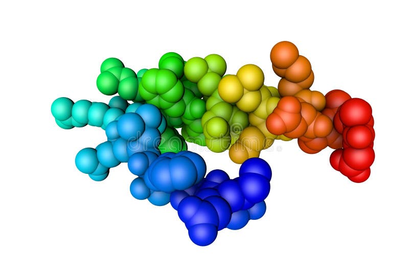 Structure of P53 Tumor Suppressor. Space-filling Molecular Model ...