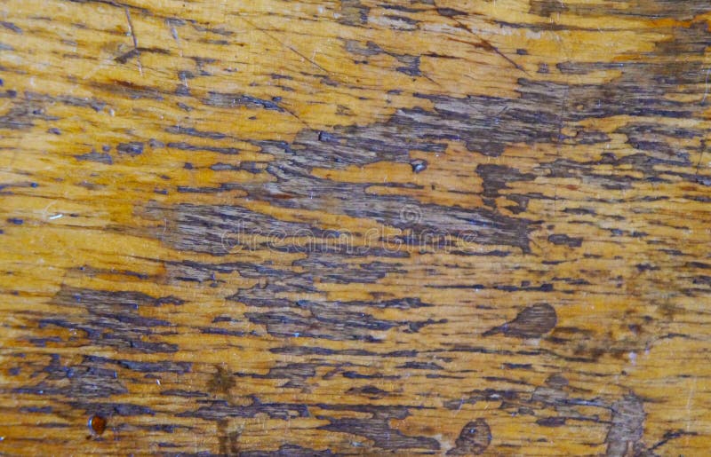 Structure, pattern stock photo. Image of texture, mother - 88503086