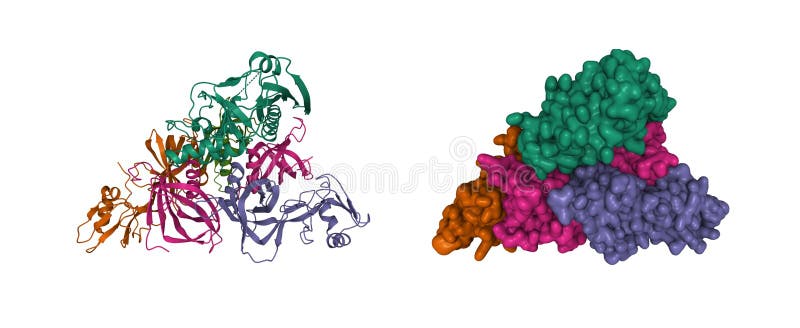 Structure of Pertussis Toxin Stock Illustration - Illustration of ...