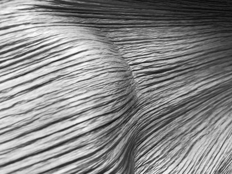 The Structure of Piece of Wood. Shot from Close View Stock Photo ...