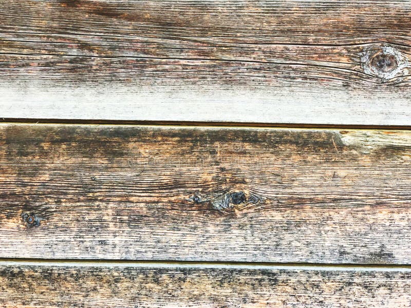 The Structure of Piece of Wood. Shot from Close View Stock Photo ...