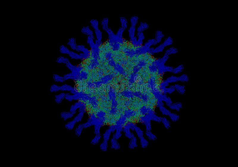 Structure of polio virus stock illustration. Illustration of organs ...
