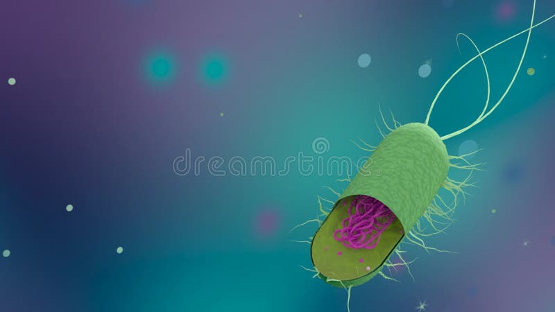 Prokaryote. Animation. 3D-rendering Stock Video - Video of living ...