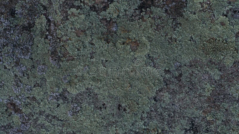 The Structure of Rotten Stones Stock Photo - Image of textured ...