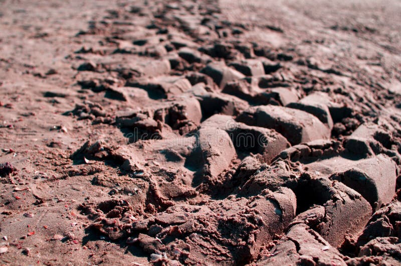 Structure of sand stock image. Image of horizon, grain - 55441543