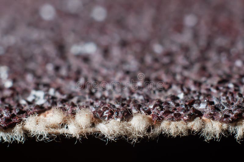 The Structure of Sandpaper on a Cut Close-up, Macro Photography Stock ...