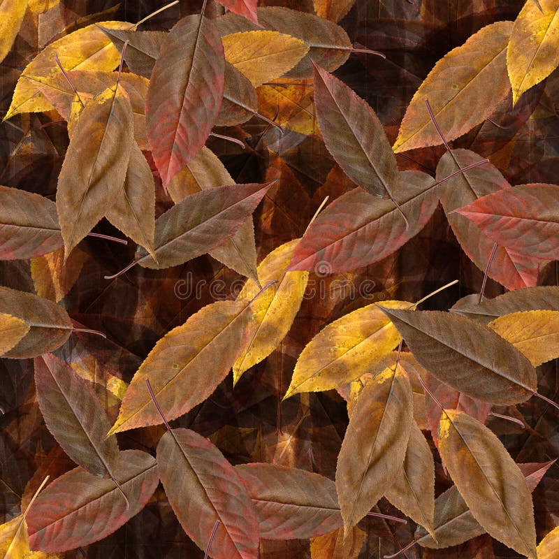 Structure Seamless: Autumn Leaves Stock Image - Image of fall ...