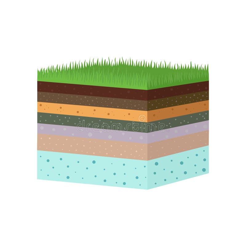 Structure of Soil Layers Diagram Vector Illustration Stock Vector ...