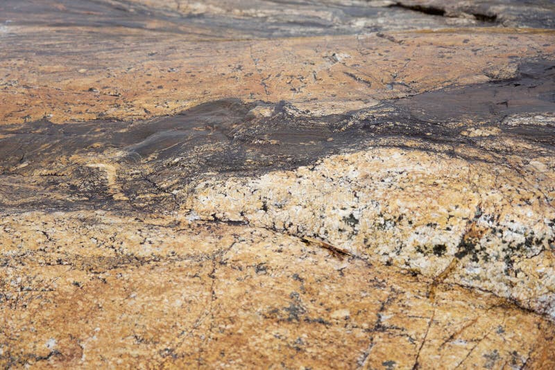The Structure of the Stone is Close-up on the Baltic Sea. Stock Image ...