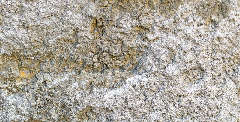 Structure of a Stone Slab of Limestone Stock Photo - Image of pattern ...
