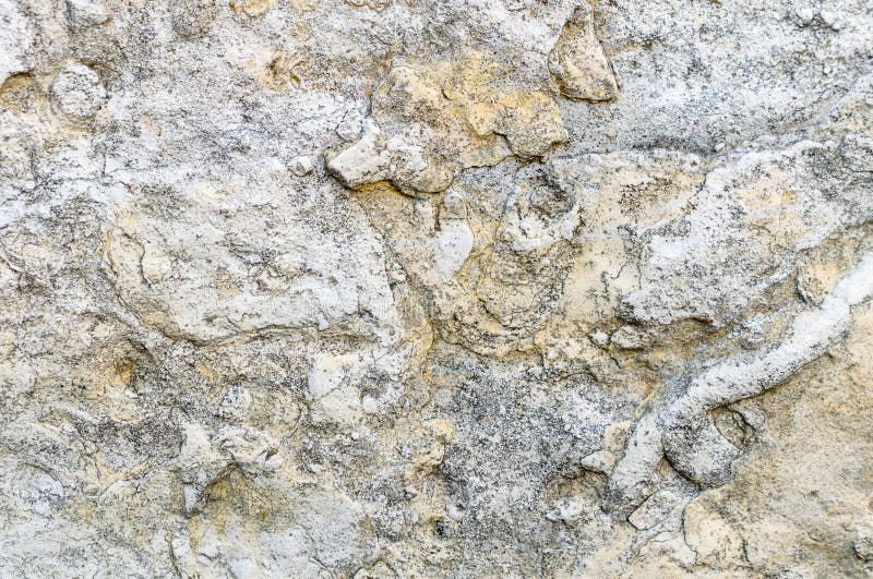 Structure of a Stone Slab of Limestone Stock Photo - Image of pattern ...