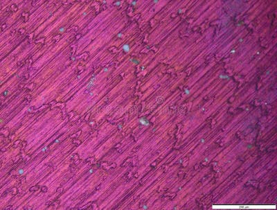 Structure of Titanium Under a Microscope. Stock Image - Image of ...