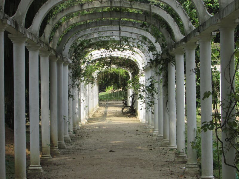 Structure, Tree, Arcade, Arch Picture. Image: 123205051