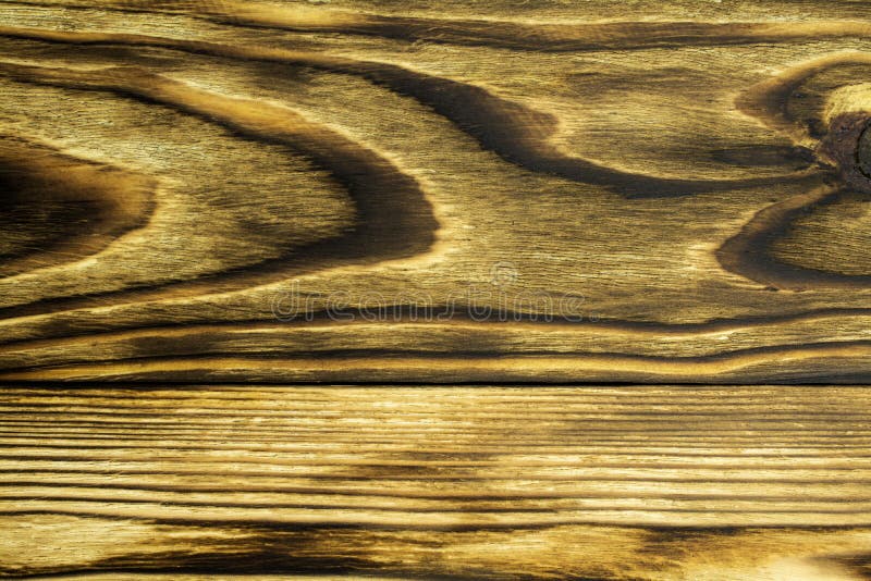 Structure of Tree of Pine Background of Brown Color by Close Up. Stock ...