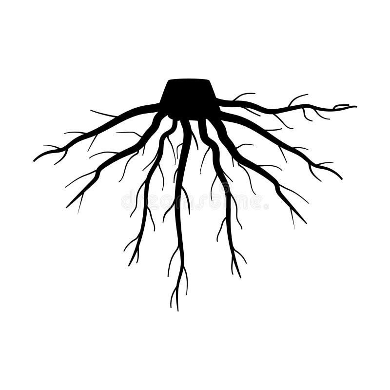 Structure Tree Root Cartoon Vector Illustration Stock Vector ...