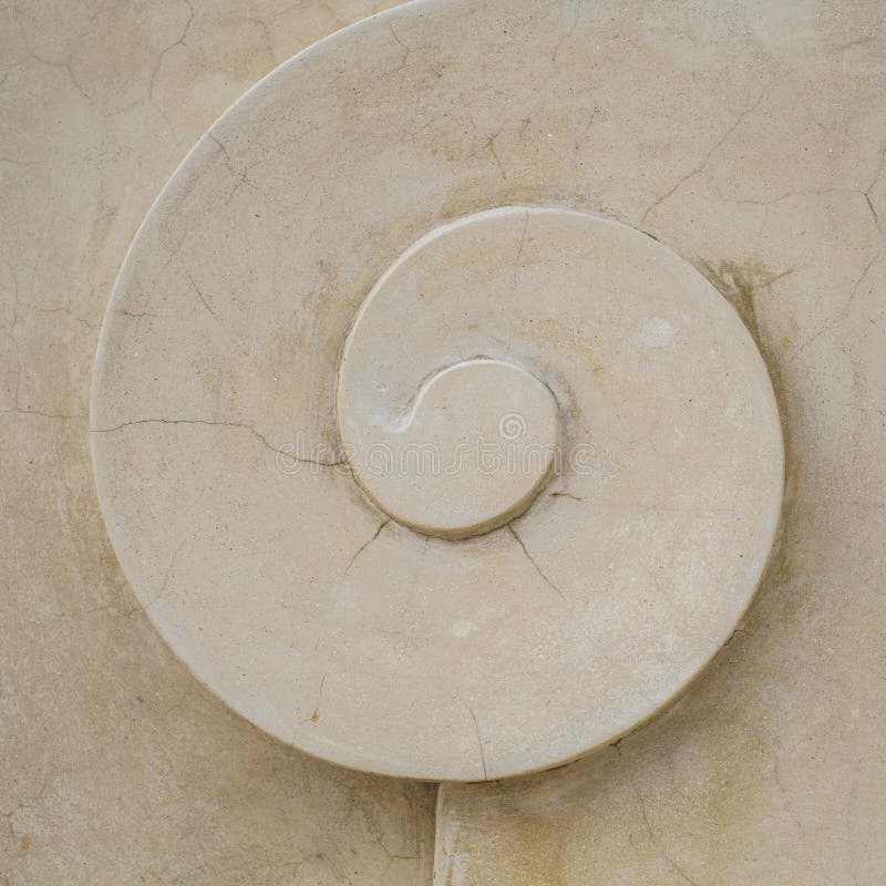 Structure of Tropical Decorative Plaster, Shell Pattern Stock Image ...
