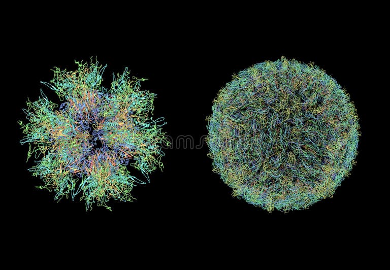 Structure Virus Stock Illustrations – 50,176 Structure Virus Stock ...