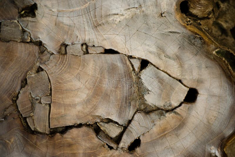 Structure of the wood stock image. Image of texture, detail - 26942655