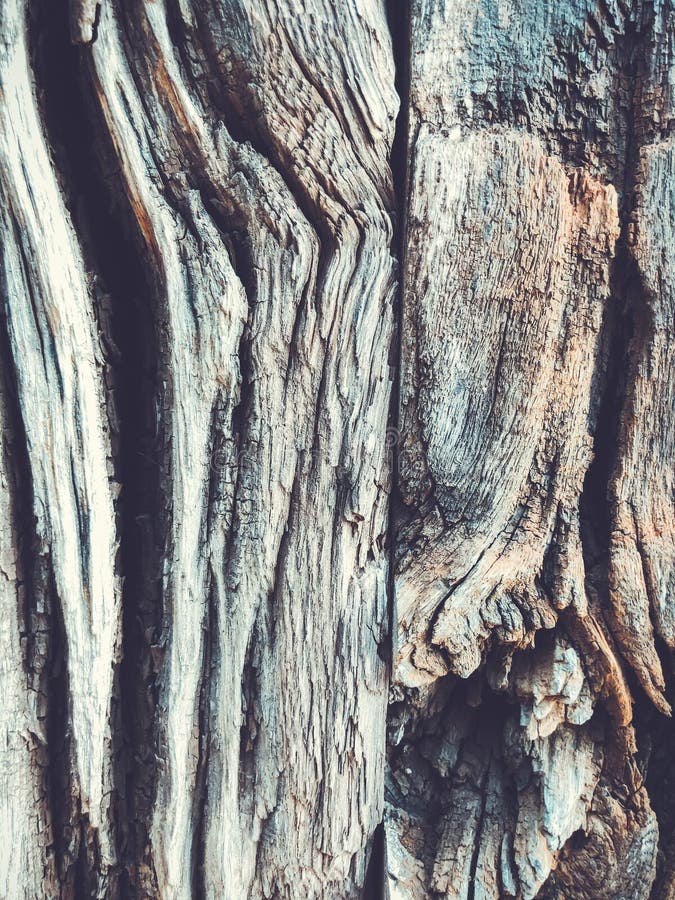 The Structure of Wooden Fence. Shot from Close View Stock Photo - Image ...
