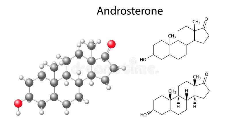 Structureel Chemisch Formules En Model Van Androsteronemolecule Vector ...