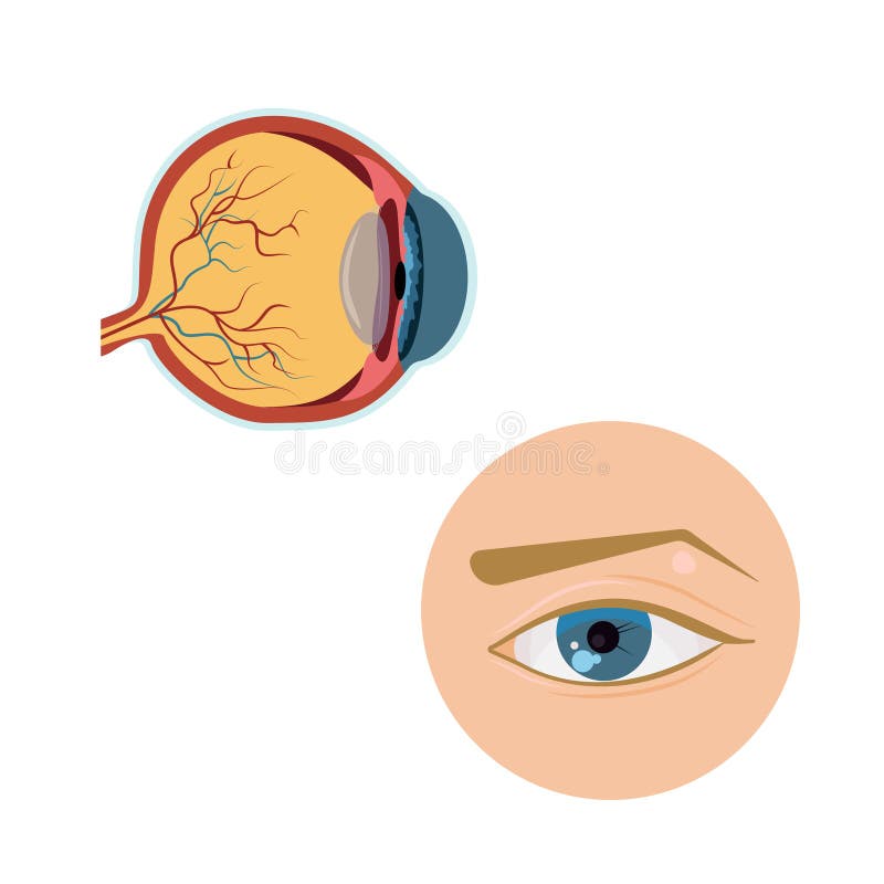 Structures Eye Icon Set Vector Illustration Design Stock Illustration ...