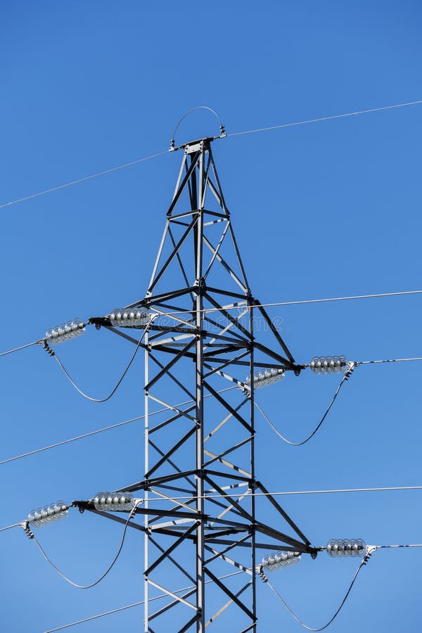 These Structures are Fundamental Elements in the Transmission of ...