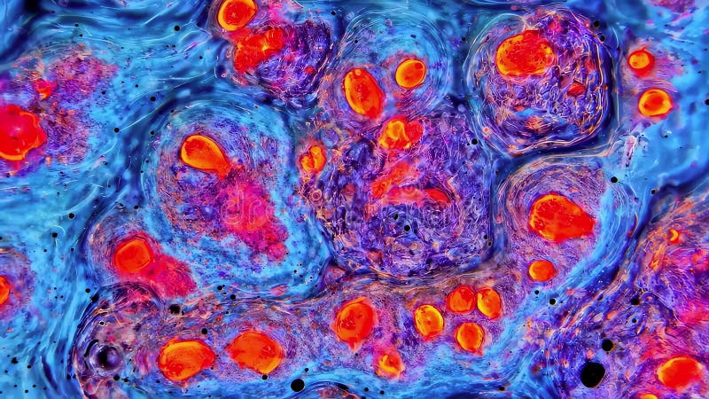 Structures of Life: a High-definition Study of Human Cells Stock Video ...