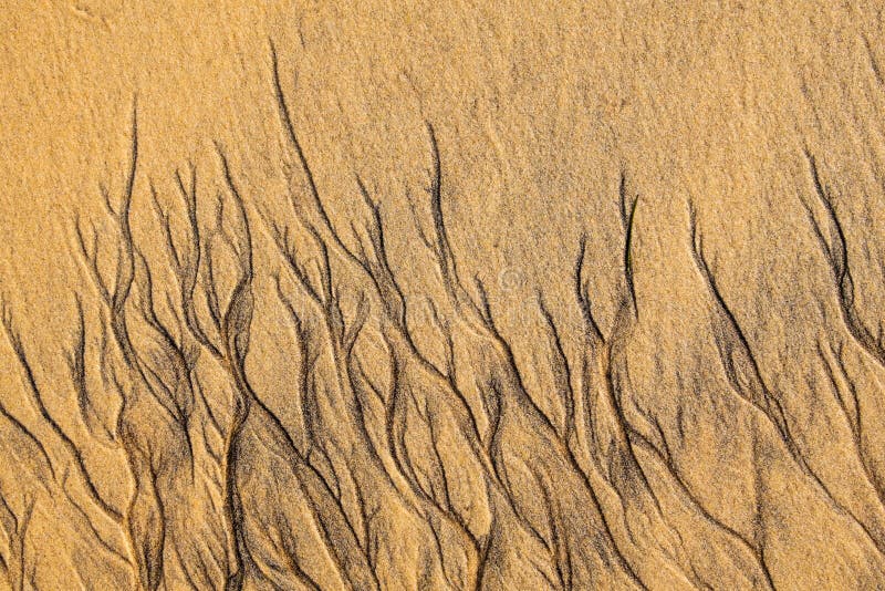 Structures in the Sand from Tiny Trickling Rivulets Stock Photo - Image ...