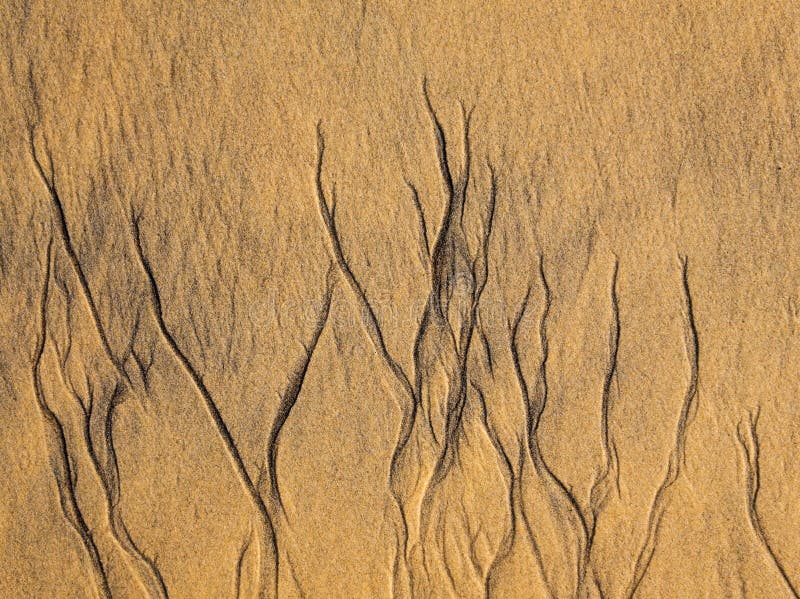Structures in the Sand from Tiny Trickling Rivulets Stock Image - Image ...