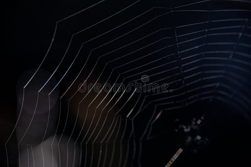 Structures of a spiderweb stock image. Image of insect - 217718621