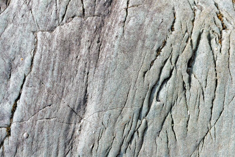 De Huidpatroon Van De Structuur Natuurlijk Slang De Achtergrond Van De ...