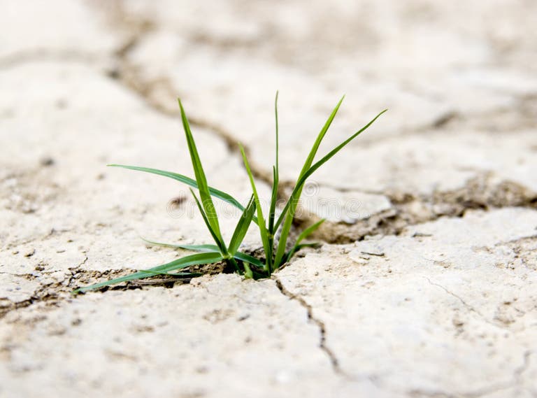 Struggle stock image. Image of dust, climate, floor, heat - 14892185