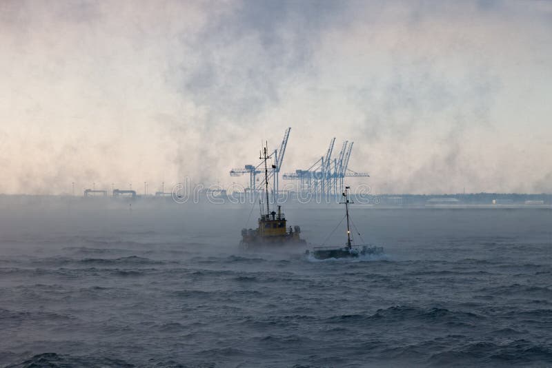 Struggle for Survival in Harsh Winter Conditions Stock Photo - Image of ...