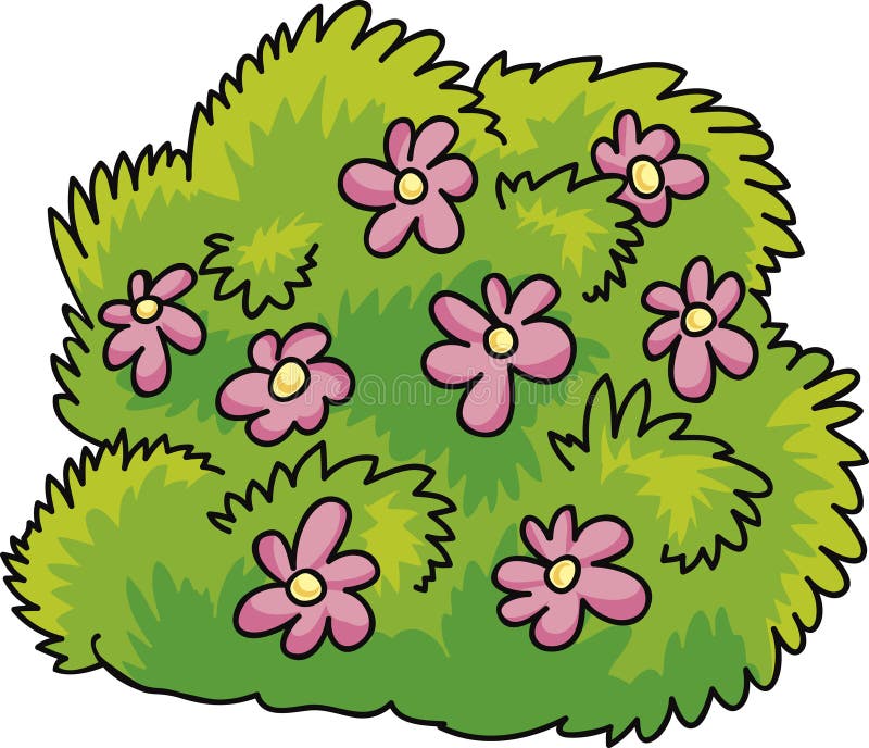 Struik met bloemen vector illustratie. Illustration of roze - 21374364