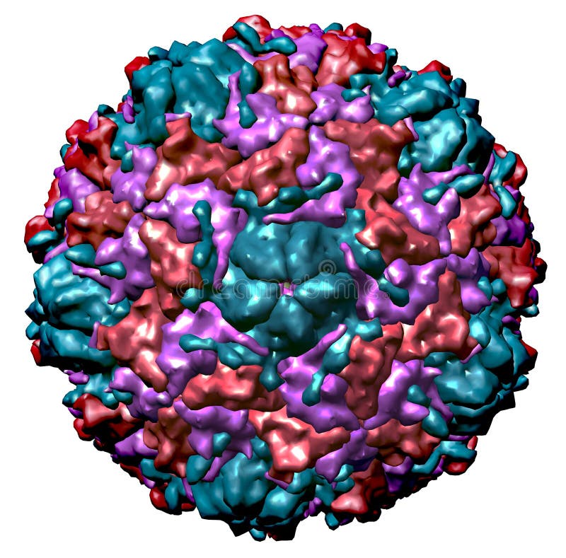 Struktur des kalten Virus stock abbildung. Illustration von struktur ... Struktur des kalten Virus stock abbildung. Illustration von struktur ...