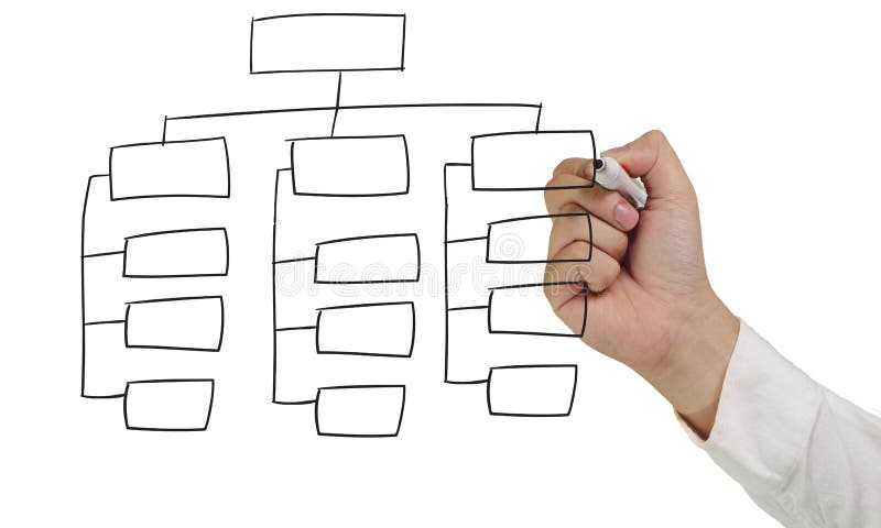 Struktur-Diagramm Stockfoto - Bild: 53253084